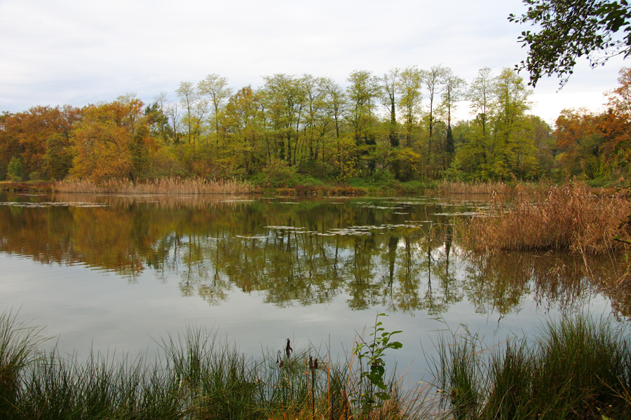 Parchi Naturali in Piemonte - Piemonte Expo