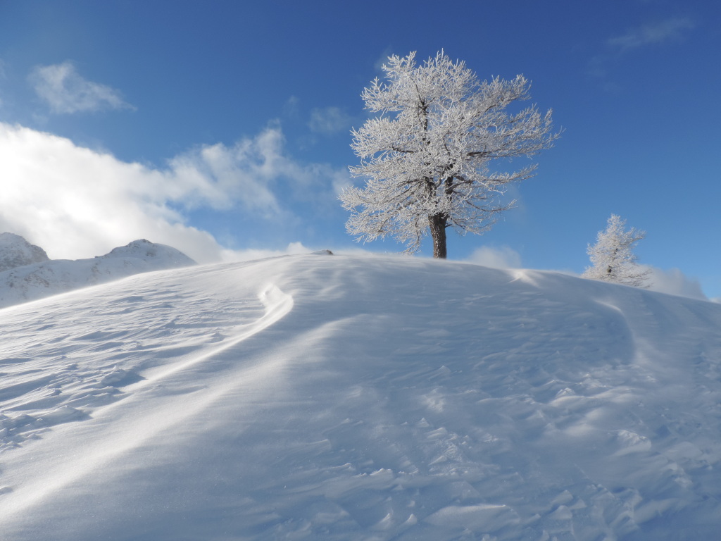 Boom di turisti sulle montagne del Piemonte per un inverno con neve ...